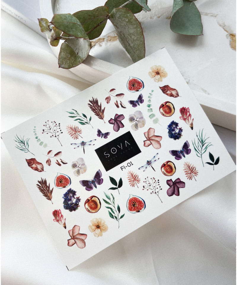 Kodi Professional - Official Website